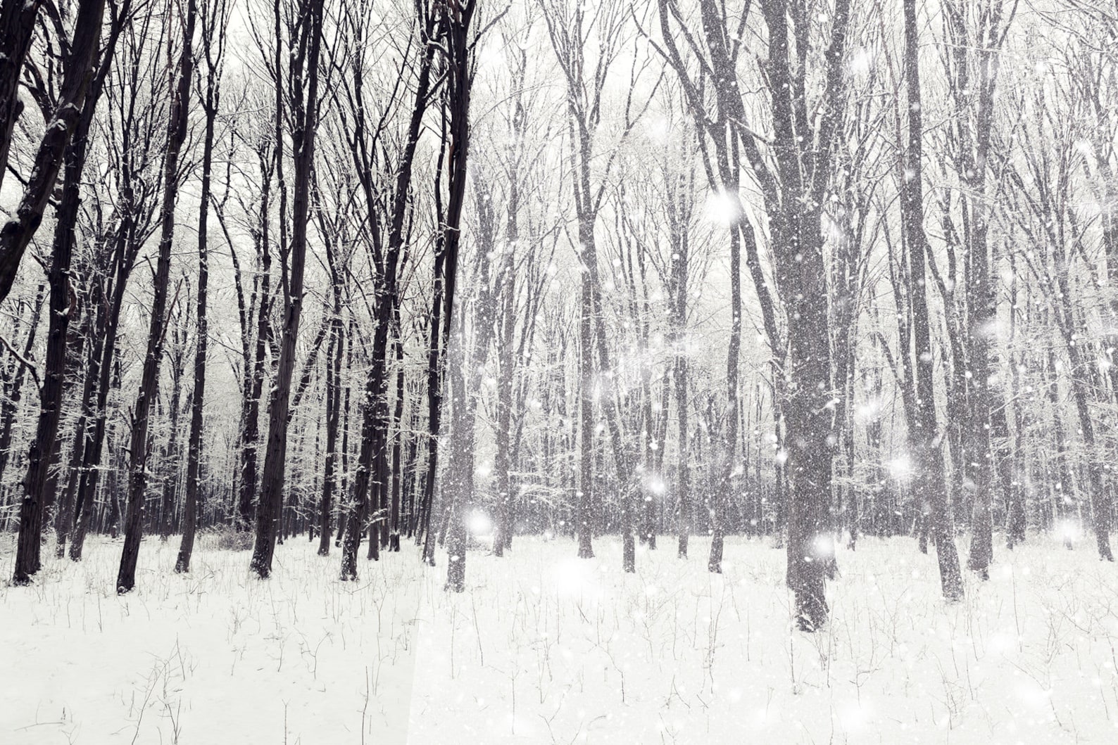 Snow Overlays, Transparent Snow Overlay PNG, Snow Photography Overlay ...