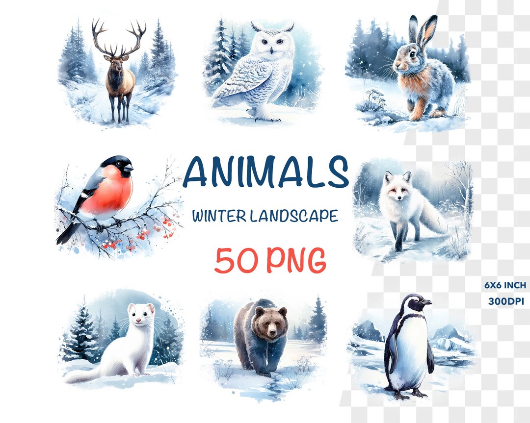 50 Watercolor Winter Animals Clipart, PNG Christmas Winter Clipart ...