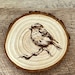 Bird Coaster Set - Woodland Animal Great for Valentine's Day, Birthday ...