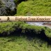 Genuine Bigfoot Tree Knocker! Great Gift for Those Aspiring Bigfoot ...