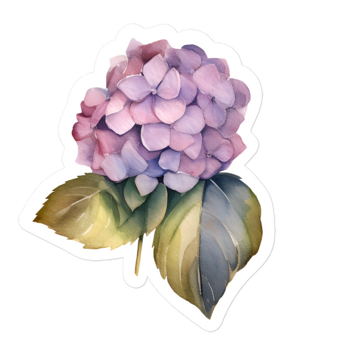 Hydrangea Sticker Floral Blooming Flowers Petal Greenery Aesthetic ...