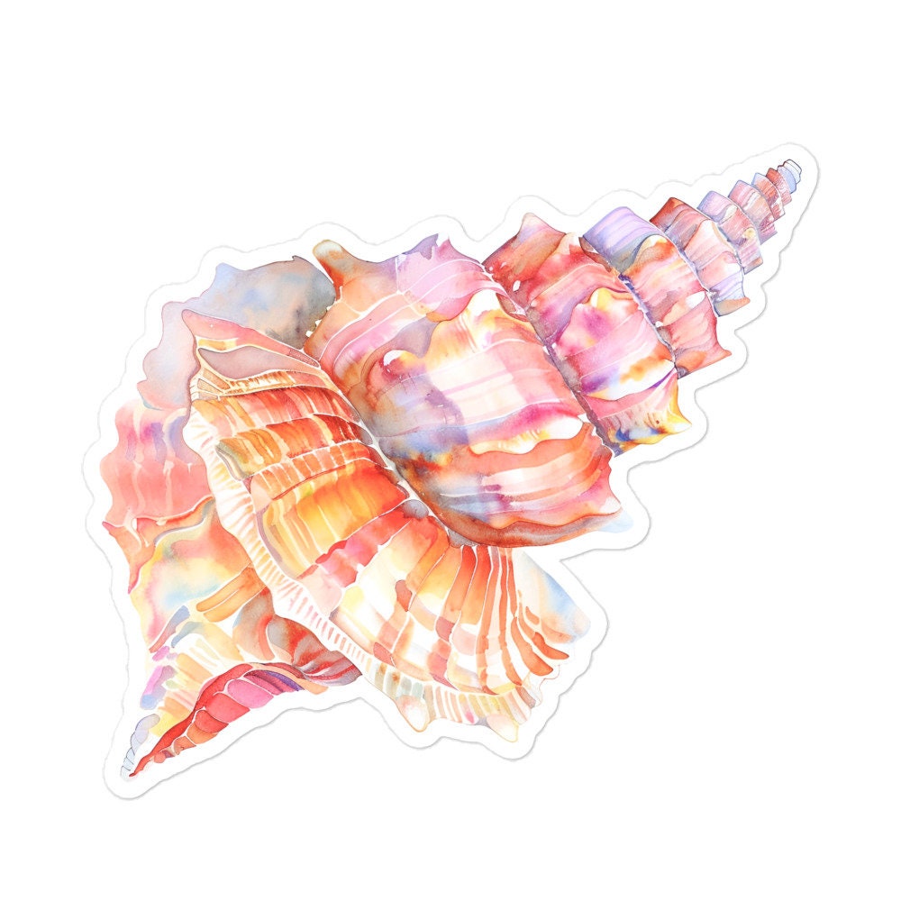 Shell Sticker Marine Ocean Sea Nature Aesthetic Watercolor Vinyl Decal ...