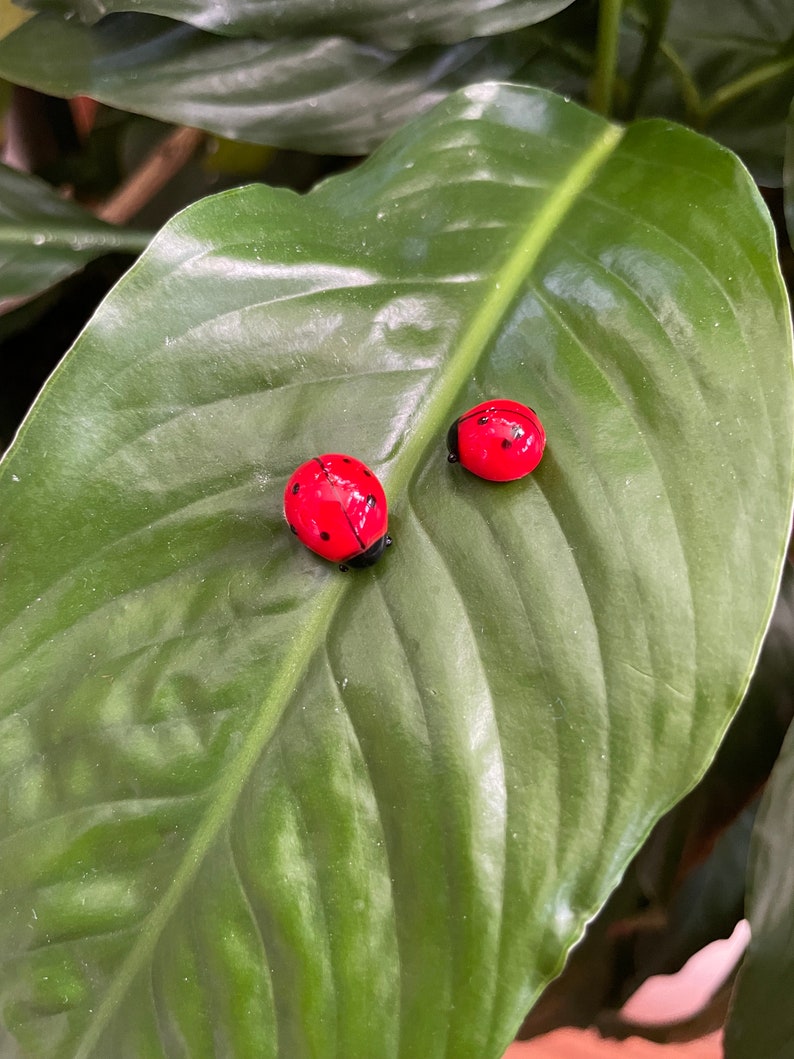 Handmade Glass Ladybug Set Figurine, Blown Glass Ladybug , Art Glass ...