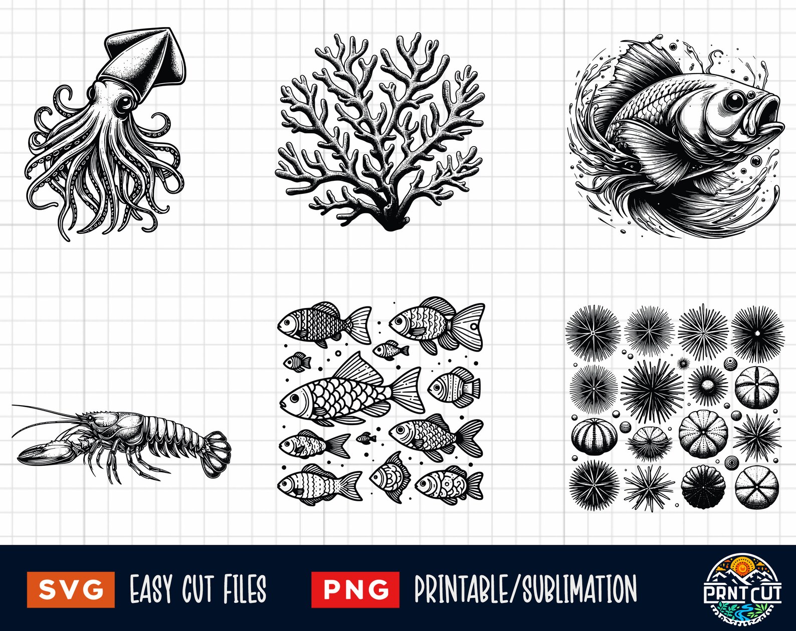 31 Underwater Svg, Underwater Scene Svg, Ocean Scene Svg, Ocean Animals ...
