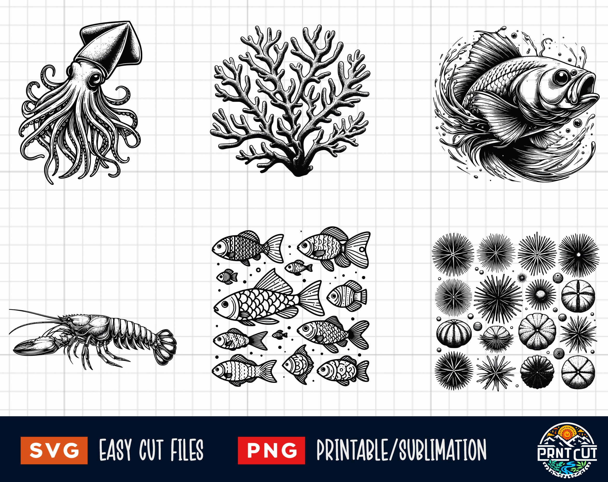31 Underwater Svg, Underwater Scene Svg, Ocean Scene Svg, Ocean Animals ...
