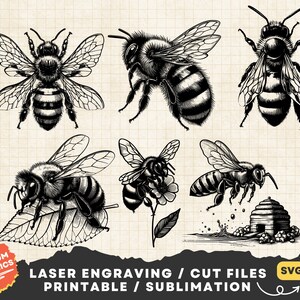 Bee Svg Bundle, Bee Svg, Clipart Bee Png Print, Bee Head Svg, Bee Face ...
