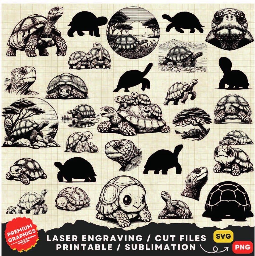 30 Tortoise Svg Bundle, Tortoise Svg, Tortoise Silhouette, Tortoise ...