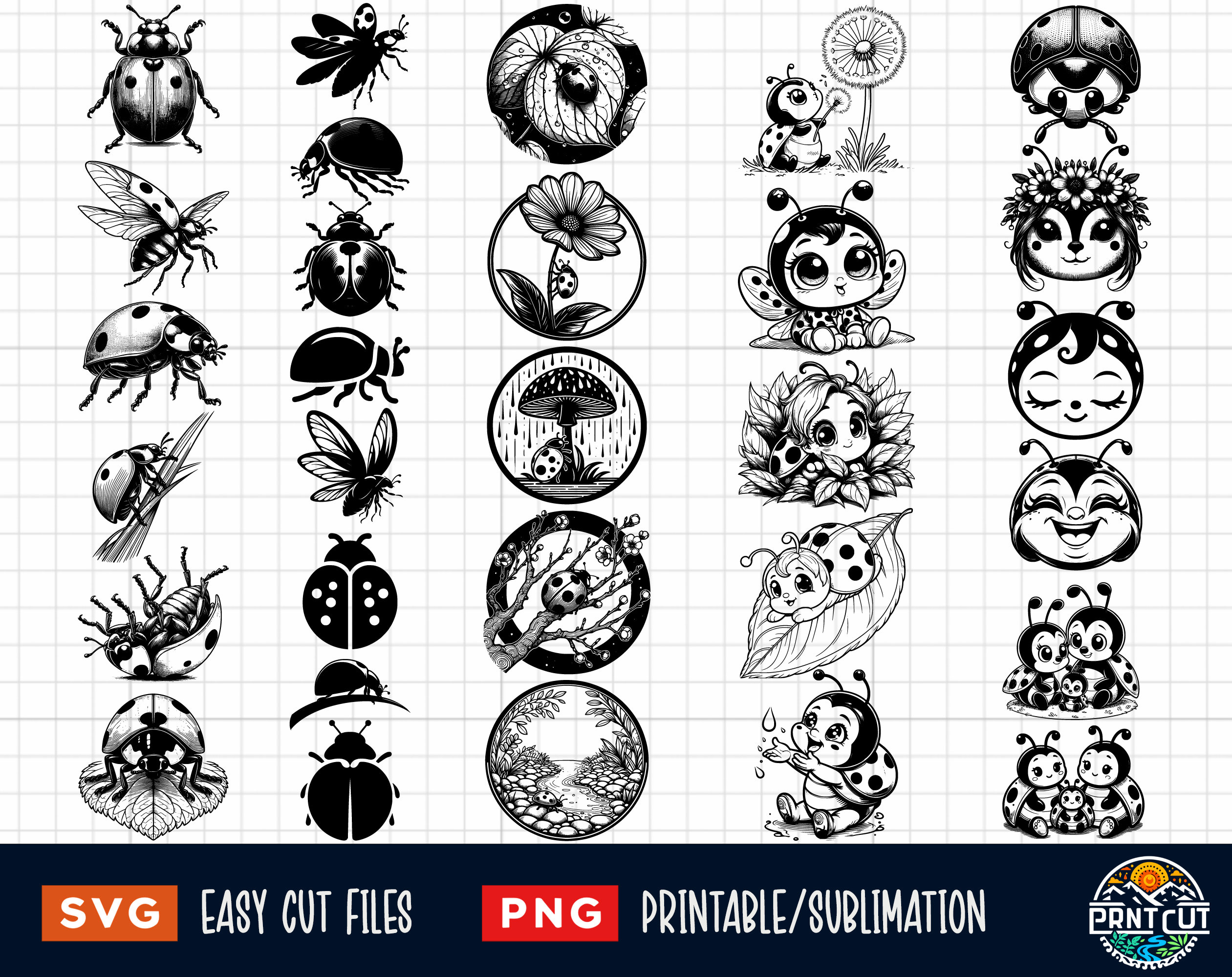 30 Ladybug SVG Bundle, Ladybug Svg Png, Bug Svg, Insect Svg, Beetle Svg ...