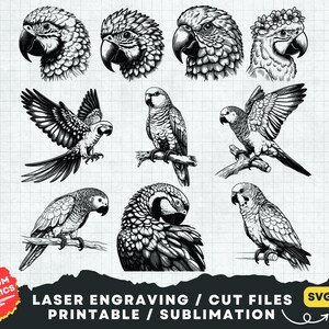30 Parrot Svg Bundle, Parakeet Svg Png, Cute Parrot Svg, Chick Svg ...