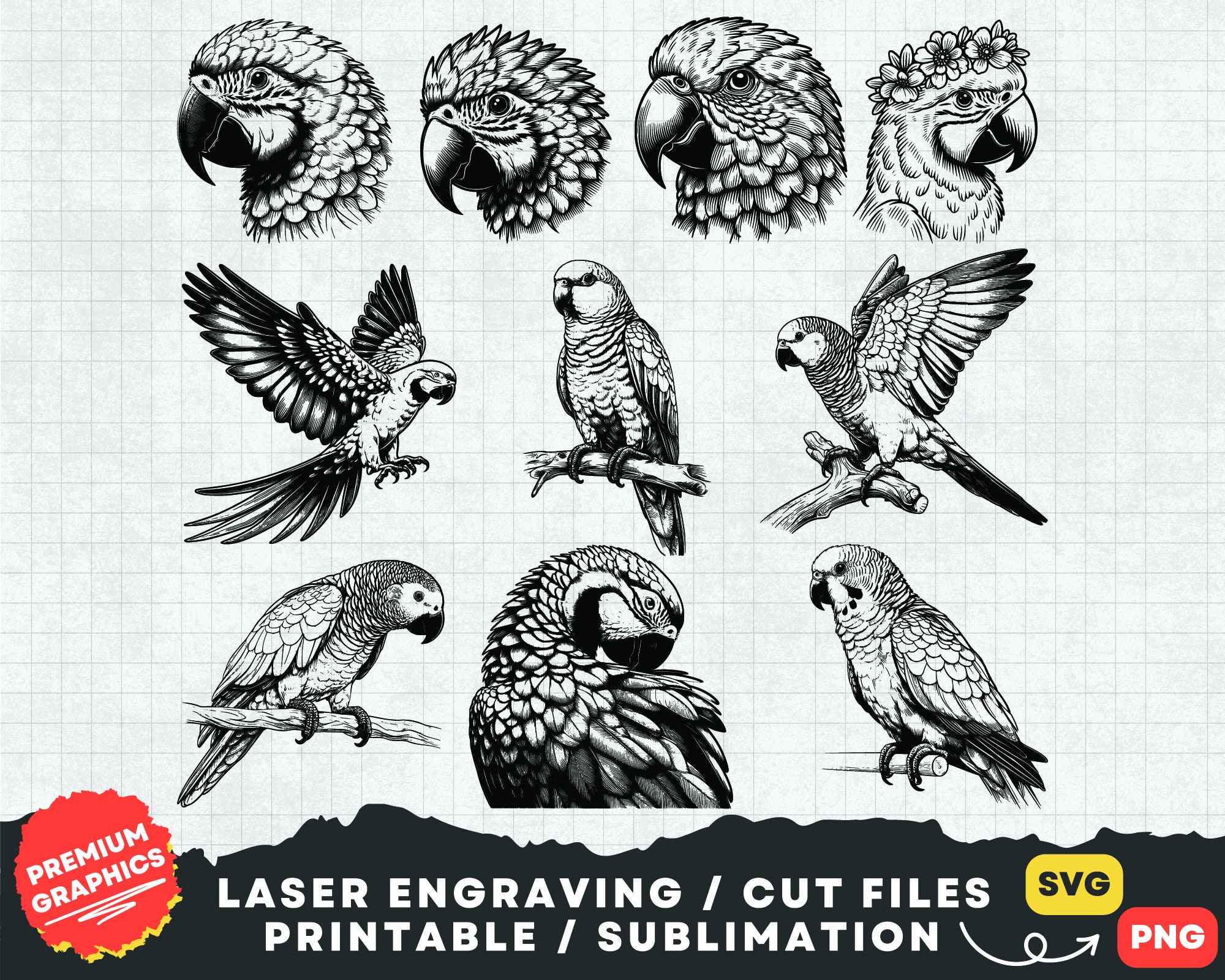 30 Parrot Svg Bundle, Parakeet Svg Png, Cute Parrot Svg, Chick Svg ...