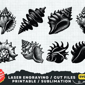 25 Seashell Svg Bundle, Seashell Svg, Seashell Png Clipart, Seashell ...