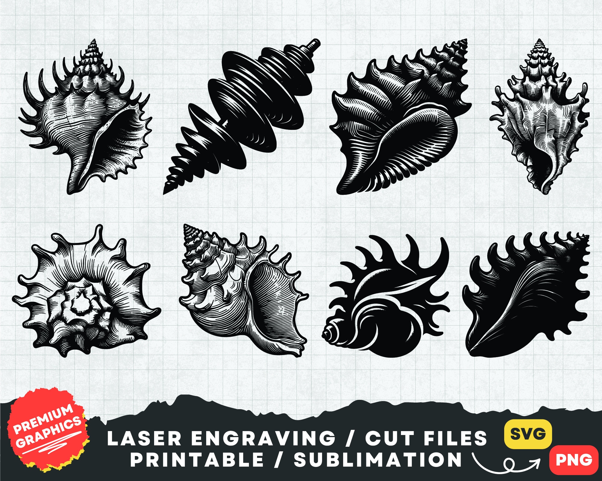 25 Seashell Svg Bundle, Seashell Svg, Seashell Png Clipart, Seashell ...