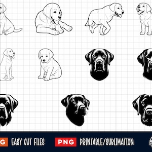 30 Labrador SVG Bundle, Labrador Svg, Labrador Png, Labrador Dog Svg ...