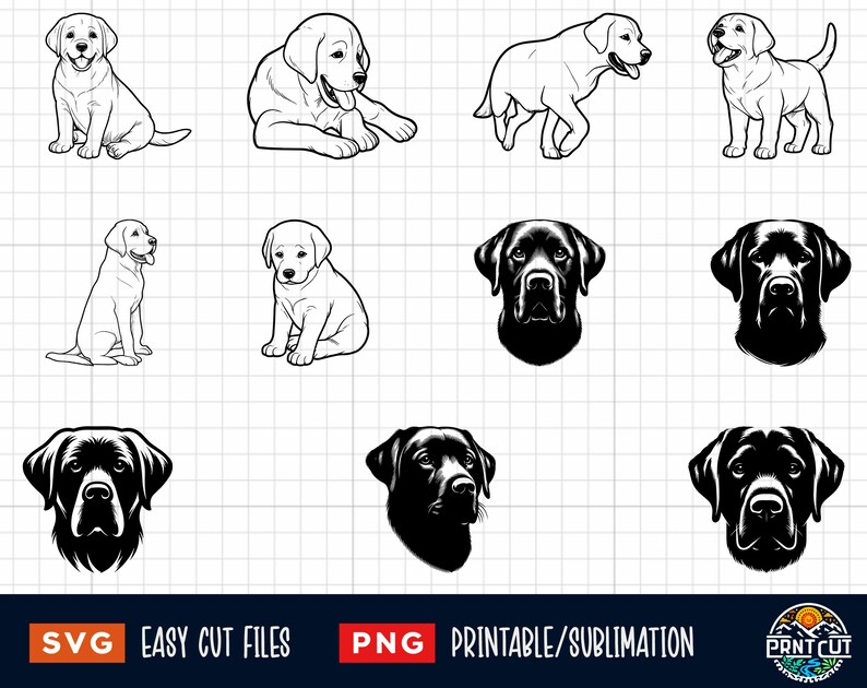 30 Labrador SVG Bundle, Labrador Svg, Labrador Png, Labrador Dog Svg ...