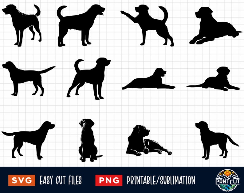 30 Labrador SVG Bundle, Labrador Svg, Labrador Png, Labrador Dog Svg ...