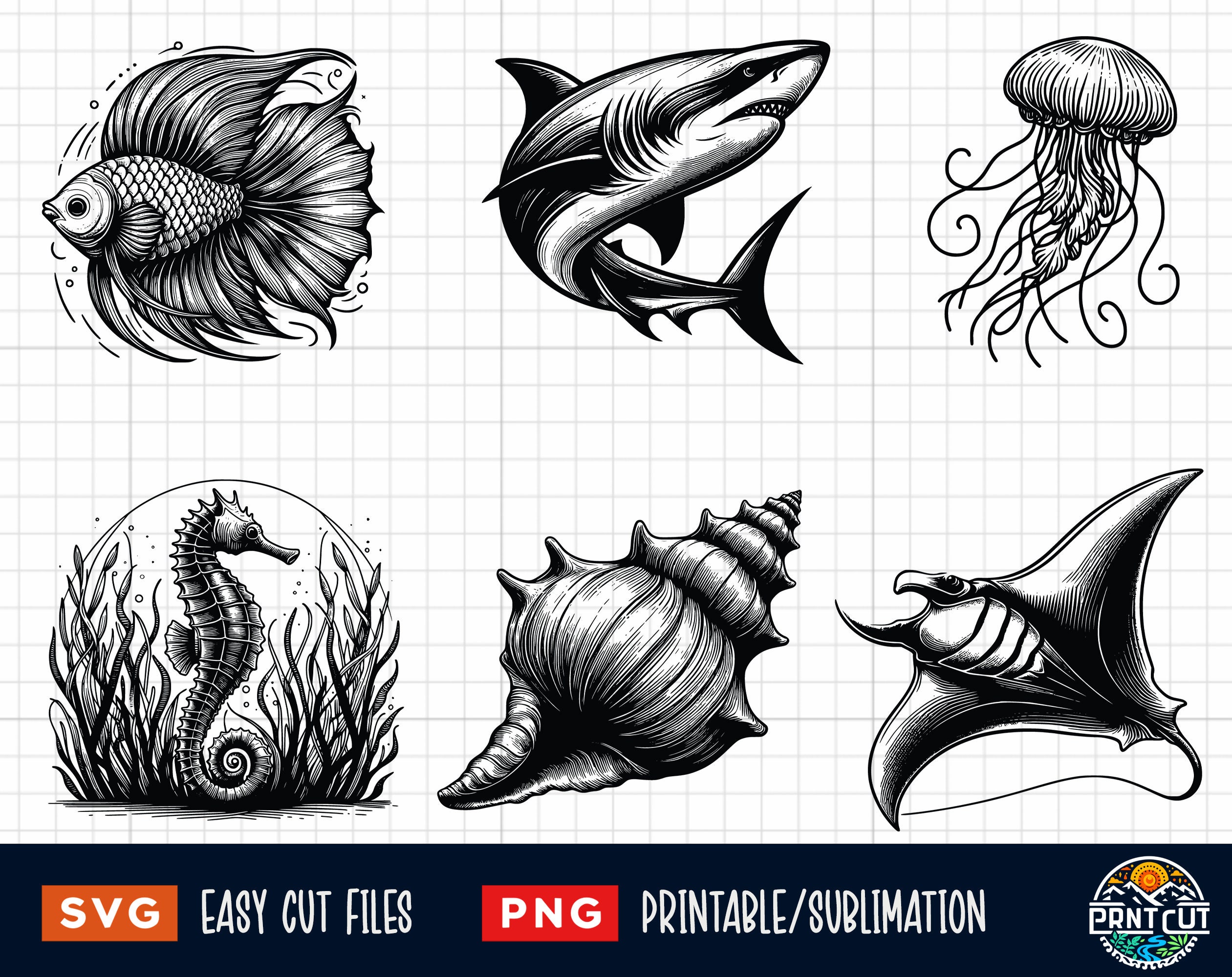 31 Underwater Svg, Underwater Scene Svg, Ocean Scene Svg, Ocean Animals ...