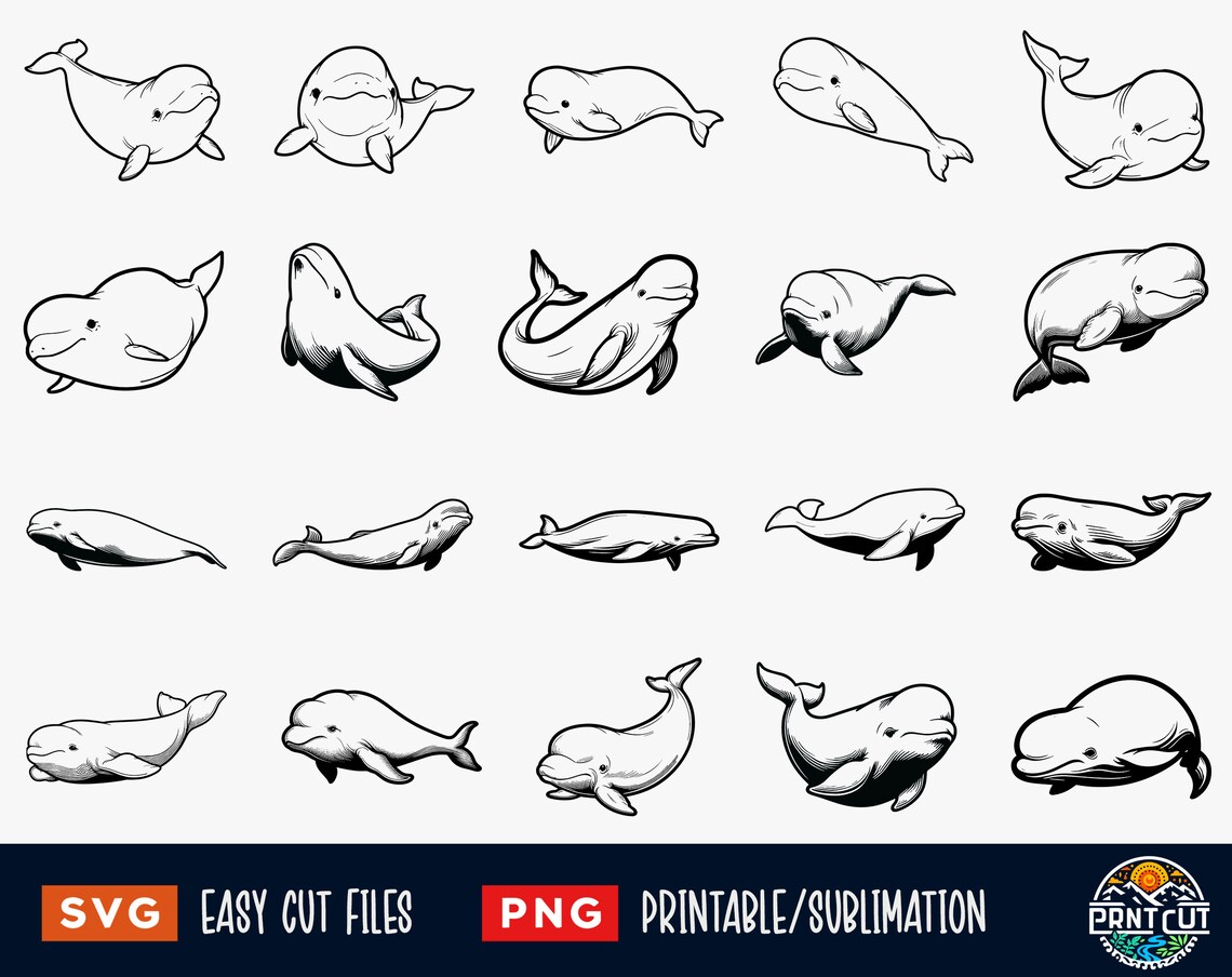 30 Beluga SVG Bundle, Beluga Svg Png, Beluga Coloring Page, Beluga Cut ...