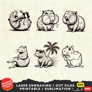 Funny Capybara SVG, Capybara Svg, Capybara Png, Capybara Clipart, Cute ...