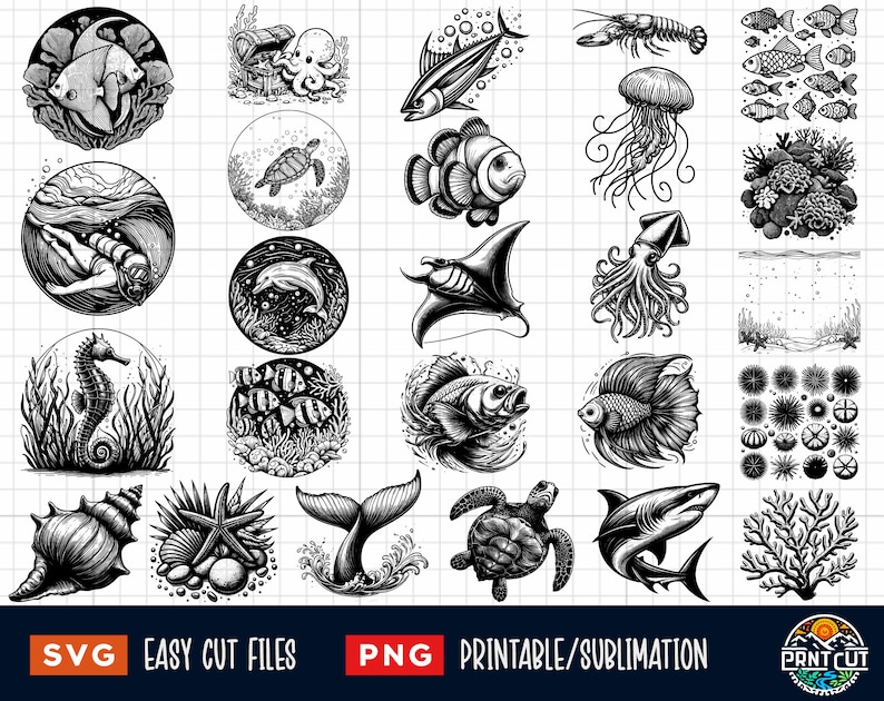31 Underwater Svg, Underwater Scene Svg, Ocean Scene Svg, Ocean Animals ...