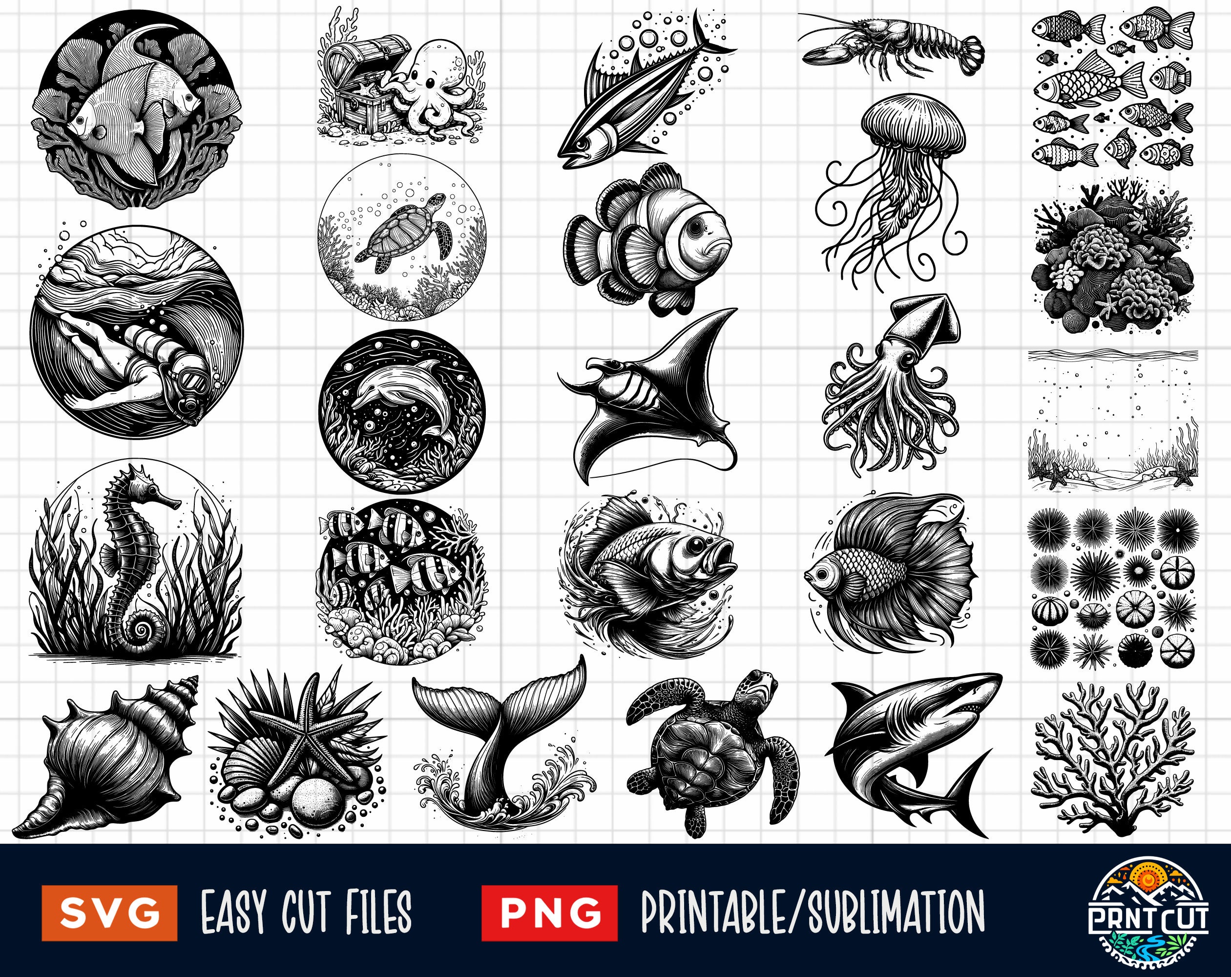 31 Underwater Svg, Underwater Scene Svg, Ocean Scene Svg, Ocean Animals ...