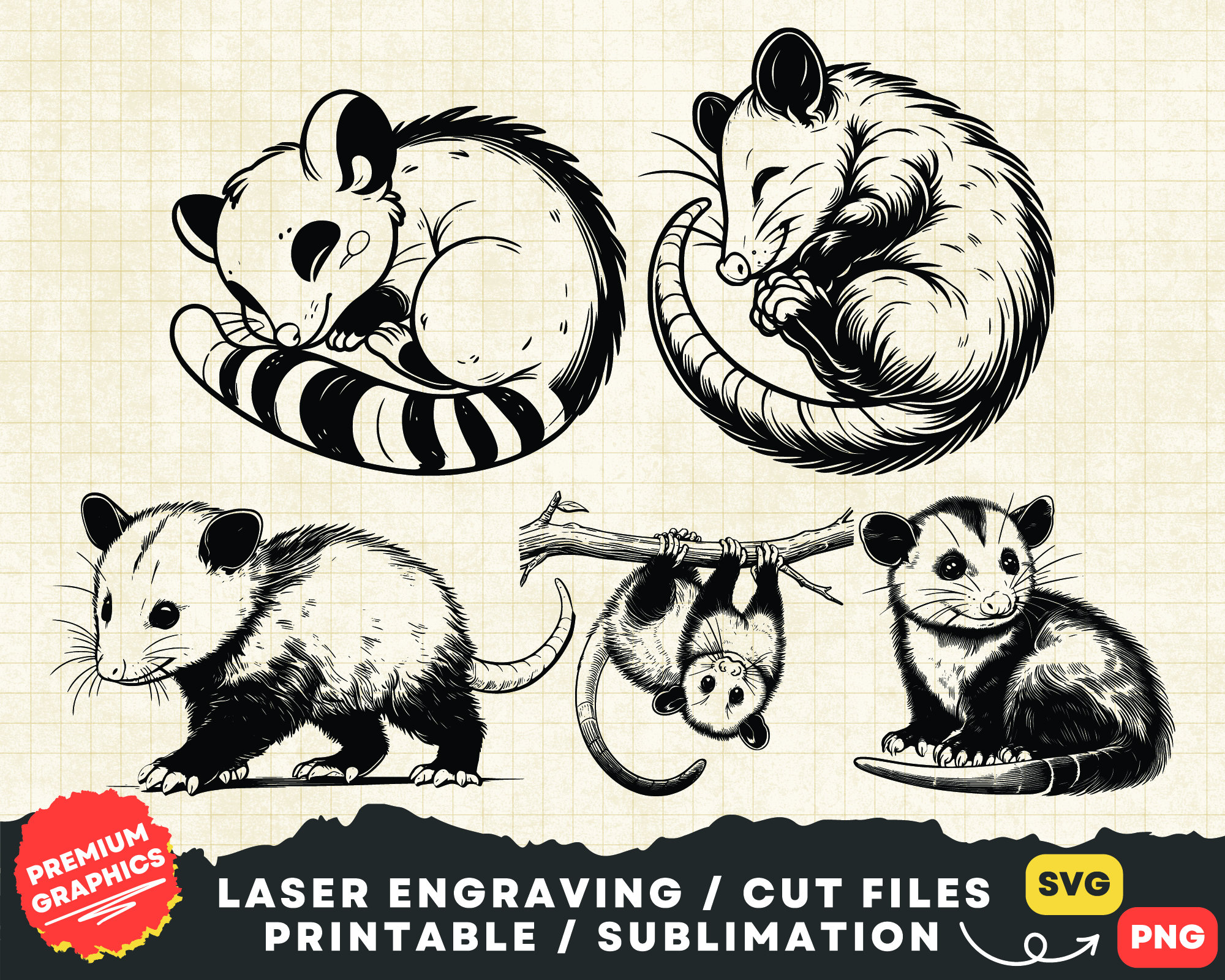 Possum Svg Bundle, Opossum Svg, Clipart Opossum Png Print, Opossum Head ...