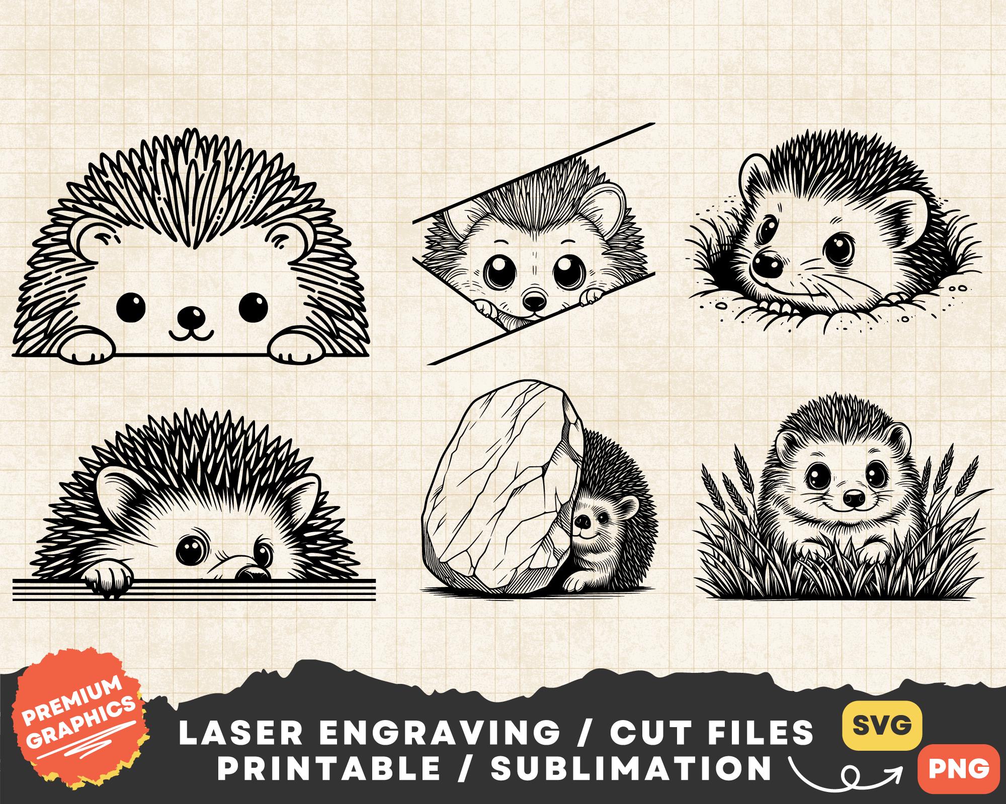 Peeking Hedgehog Bundle, Cute Hedgehog, Funny Hedgehog, Hedgehog Laser ...