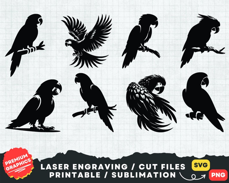 30 Parrot Svg Bundle, Parakeet Svg Png, Cute Parrot Svg, Chick Svg ...