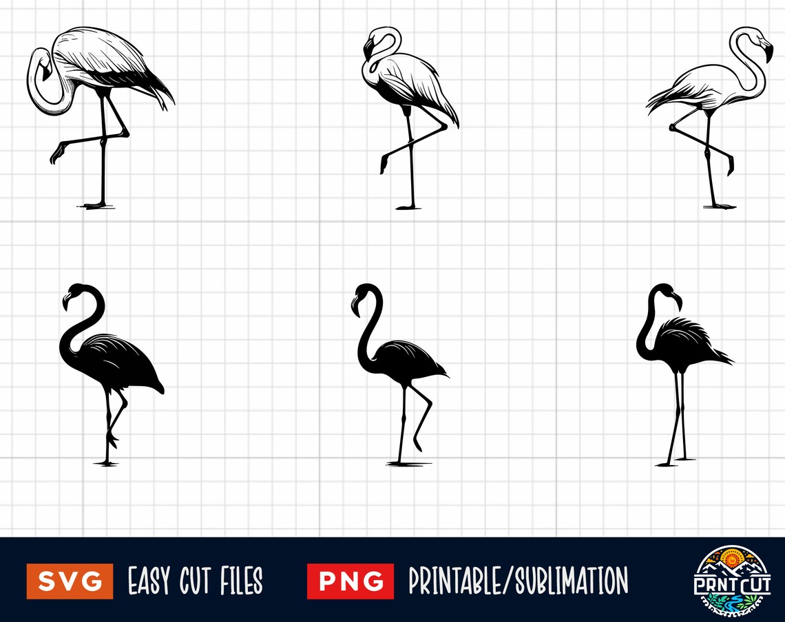 Flamingo Bundle, Flamingo Svg, Flamingo Png, Flamingos Svg Png ...