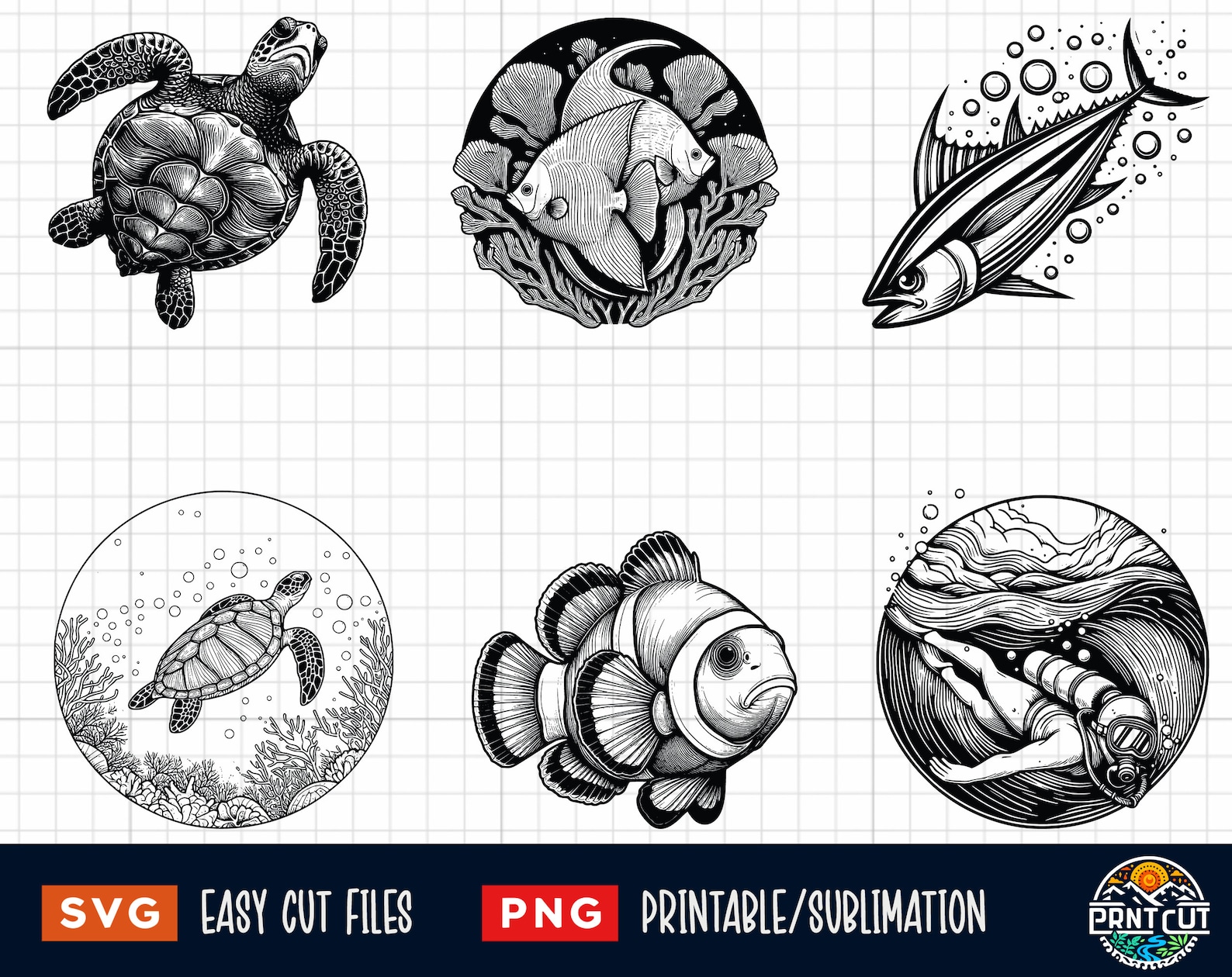 31 Underwater Svg, Underwater Scene Svg, Ocean Scene Svg, Ocean Animals ...