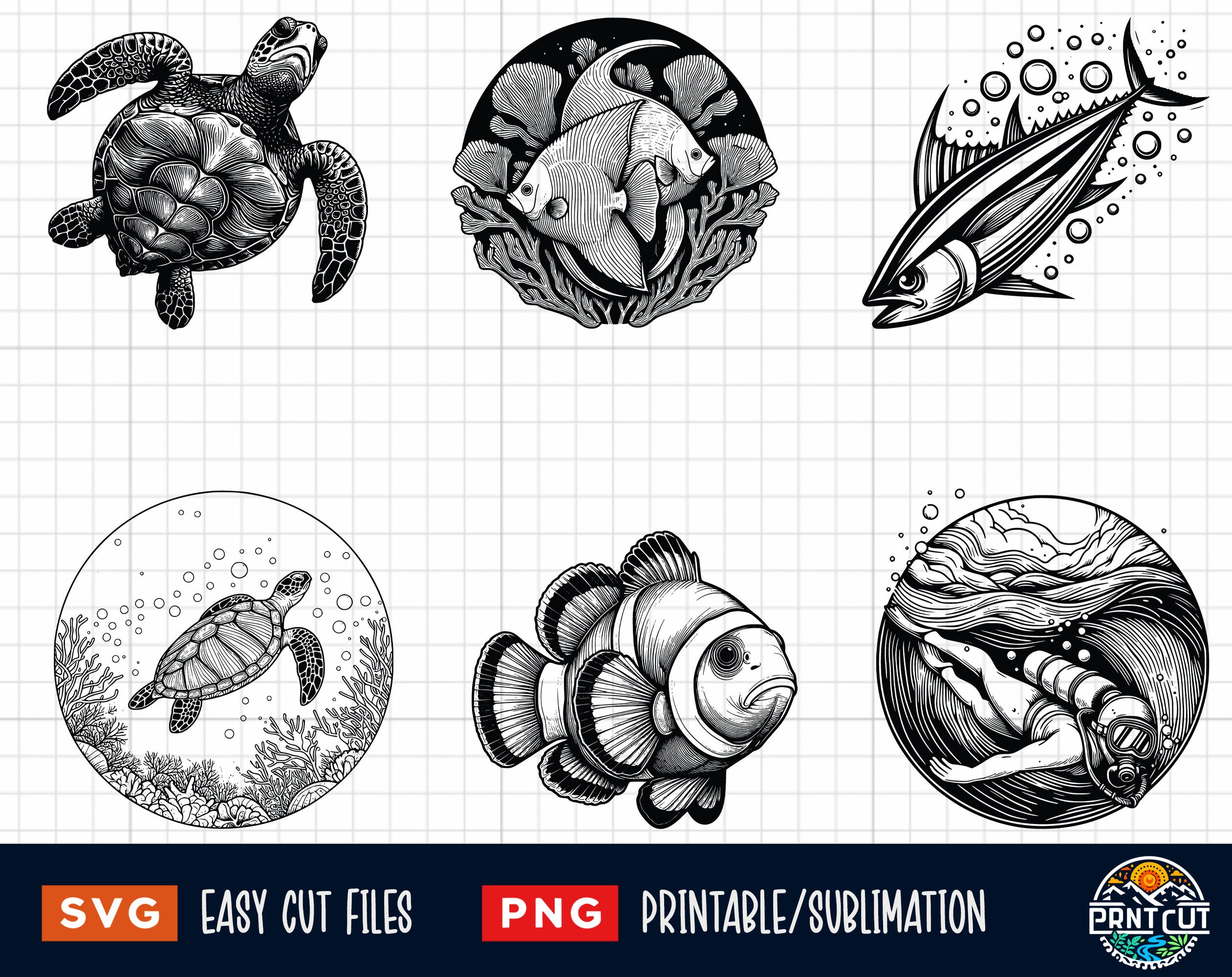 31 Underwater Svg, Underwater Scene Svg, Ocean Scene Svg, Ocean Animals ...