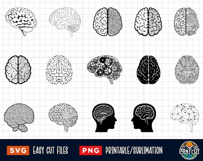 15 Brains Bundle, Brain Svg, Brain Png, Brains Svg Png, Brain Cut File ...