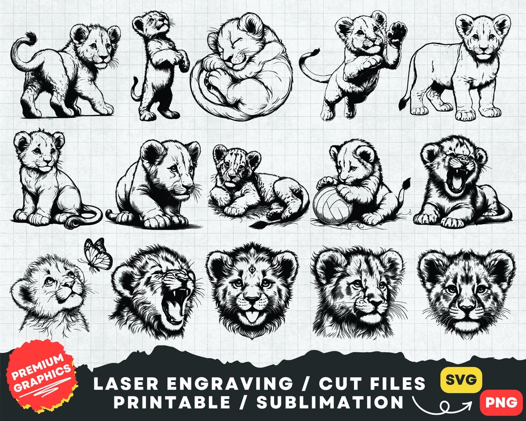 Baby Lion Svg, Cute Baby Lion Svg, Baby Lion Png Clipart, Lion Cub Head ...