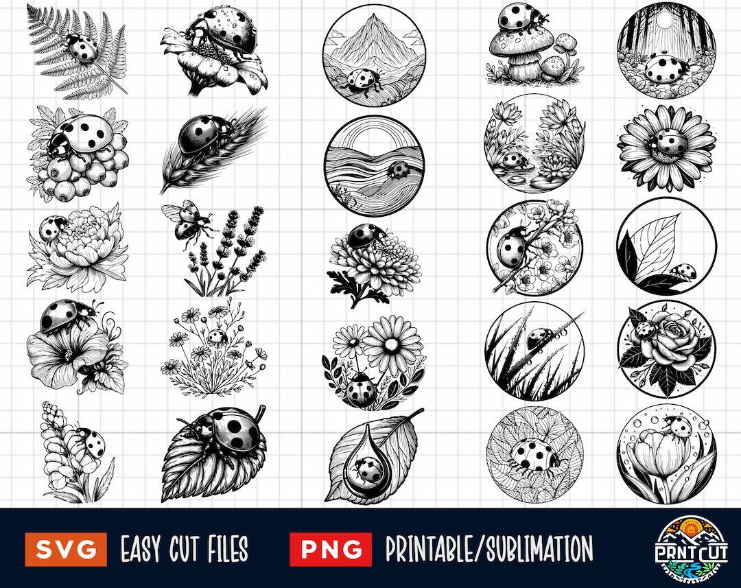 25 Ladybug Scene SVG Bundle, Ladybug Svg Png, Flower Ladybug Svg, Lady ...