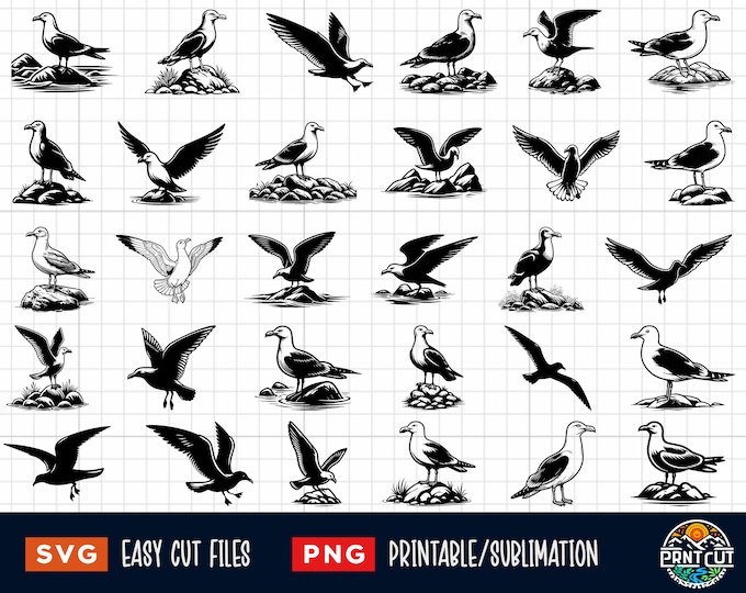 Seagull Bundle SVG, Seagull Bundel PNG, Seagull Cut File,cricut ...