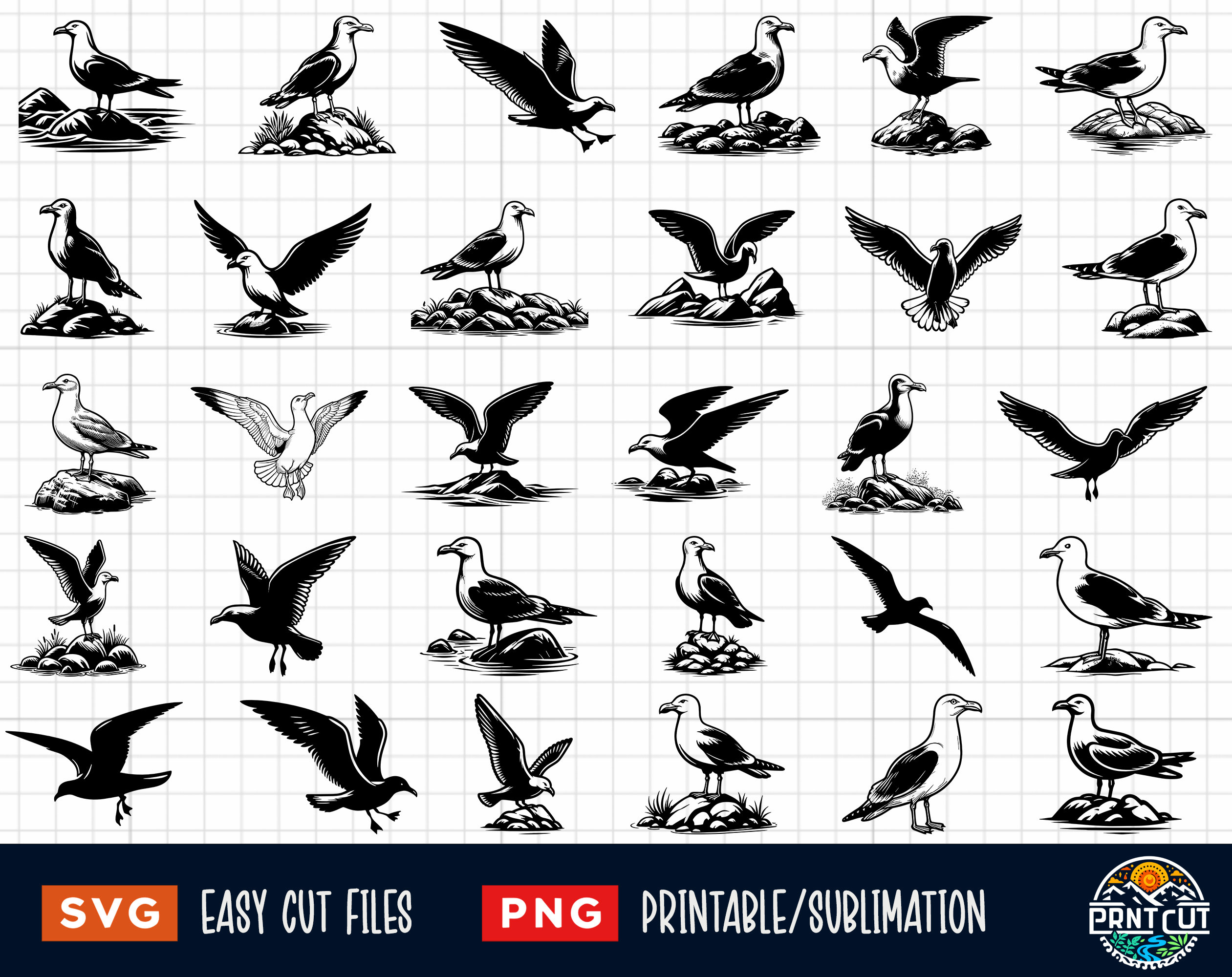 30 Seagull SVG Bundle, Seagull Svg, Seagull Png, Sea Bird Svg Png ...