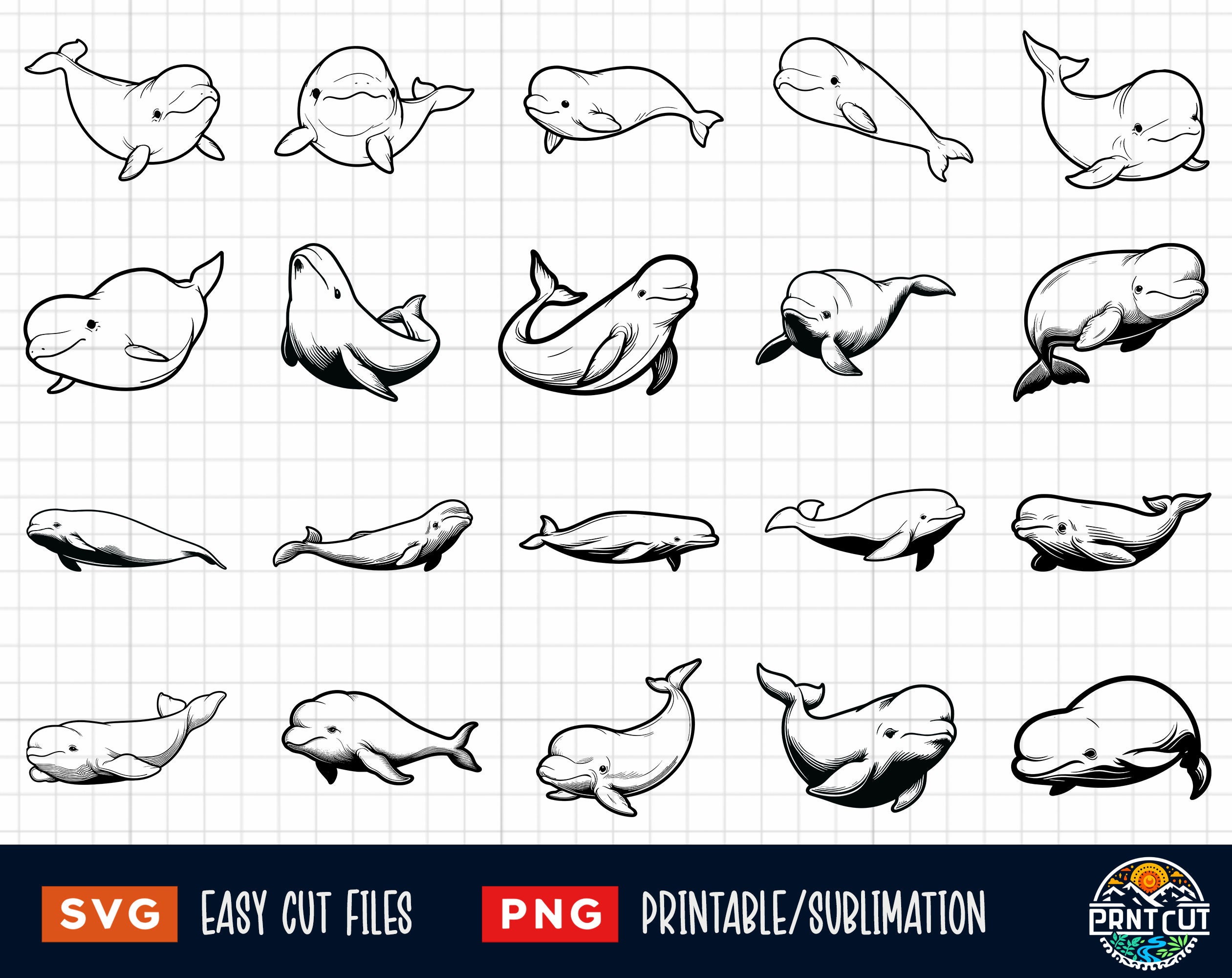 30 Beluga SVG Bundle, Beluga Svg Png, Beluga Coloring Page, Beluga Cut ...