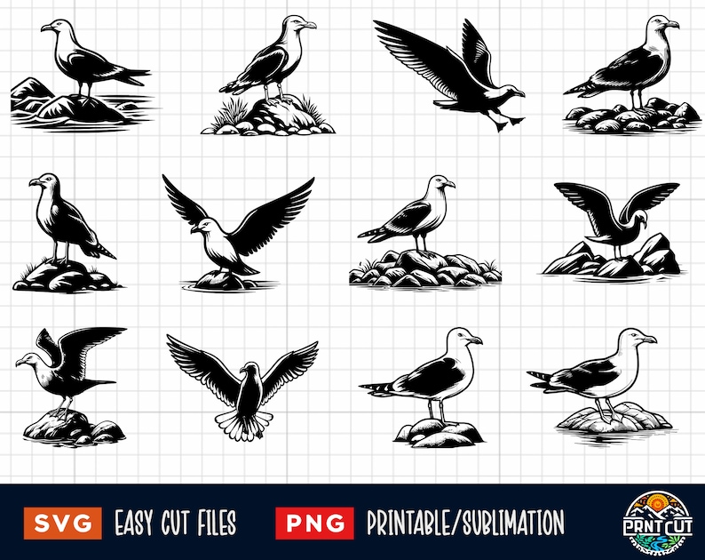 30 Seagull SVG Bundle, Seagull Svg, Seagull Png, Sea Bird Svg Png ...
