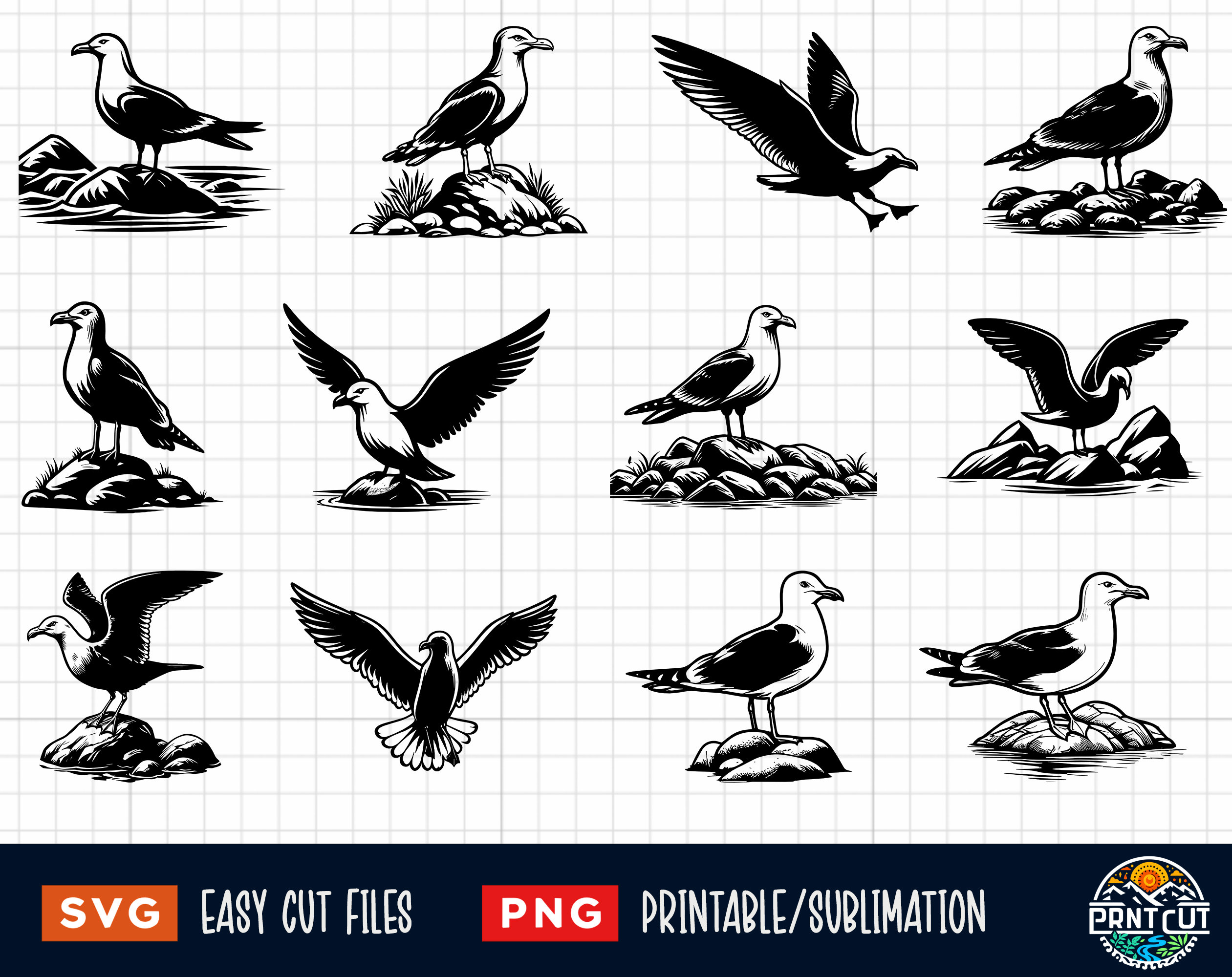 30 Seagull SVG Bundle, Seagull Svg, Seagull Png, Sea Bird Svg Png ...