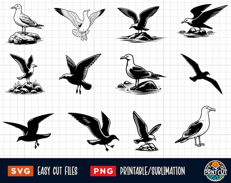 30 Seagull SVG Bundle, Seagull Svg, Seagull Png, Sea Bird Svg Png ...