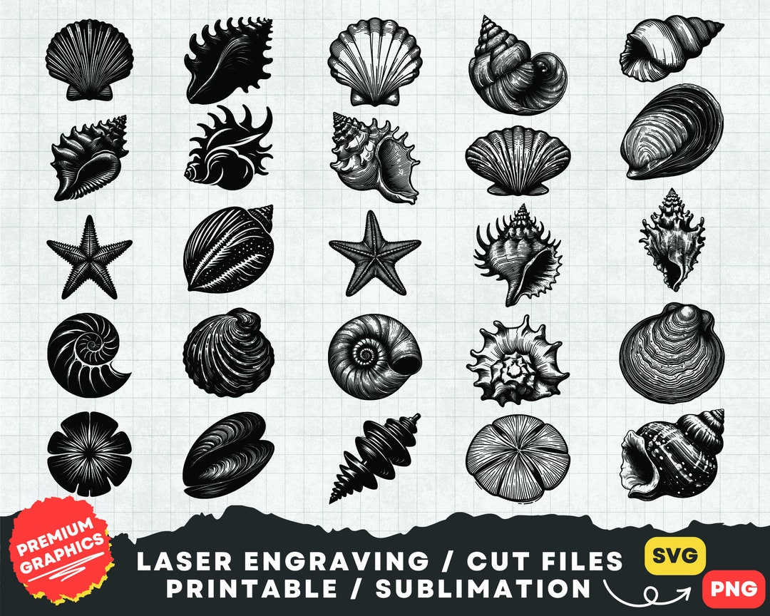 25 Seashell Svg Bundle, Seashell Svg, Seashell Png Clipart, Seashell ...