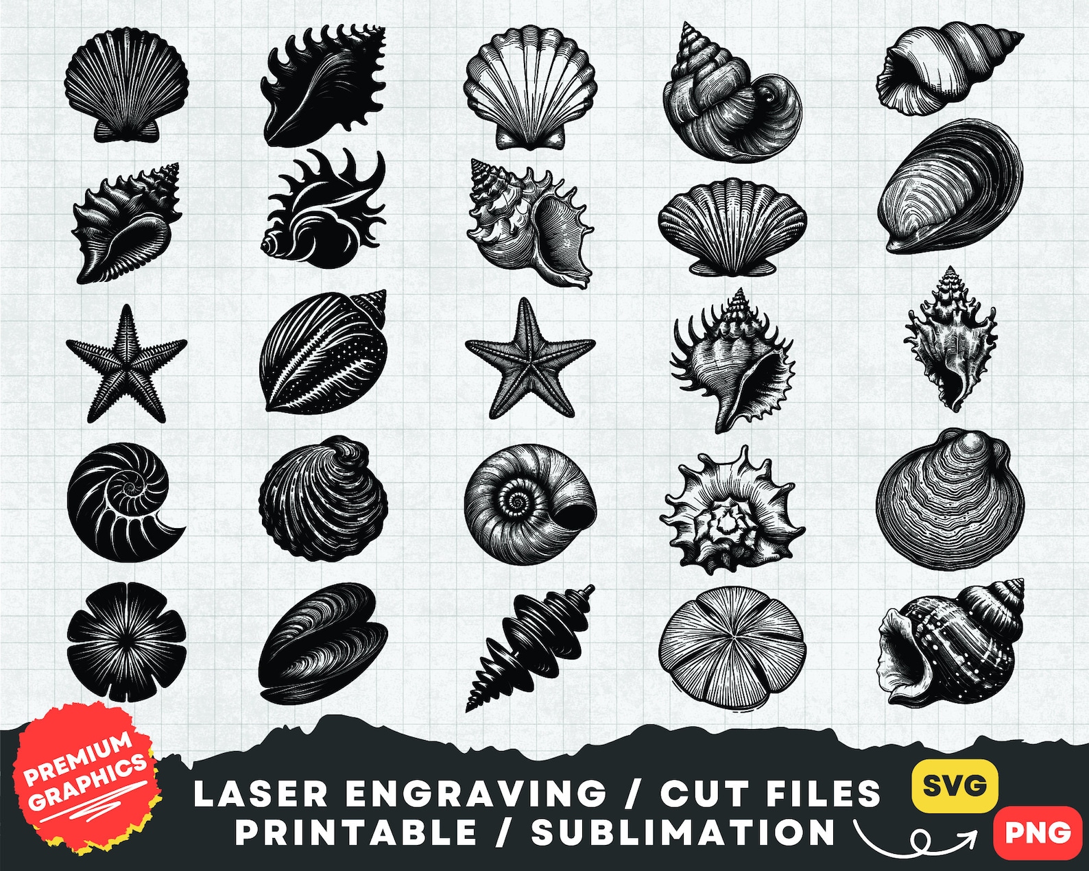 25 Seashell Svg Bundle, Seashell Svg, Seashell Png Clipart, Seashell ...