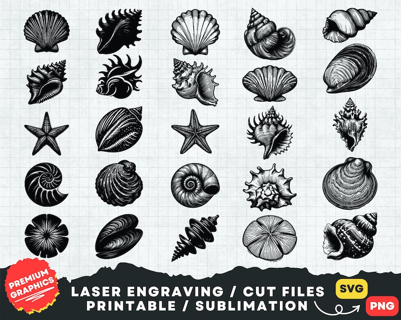 25 Seashell Svg Bundle, Seashell Svg, Seashell Png Clipart, Seashell ...