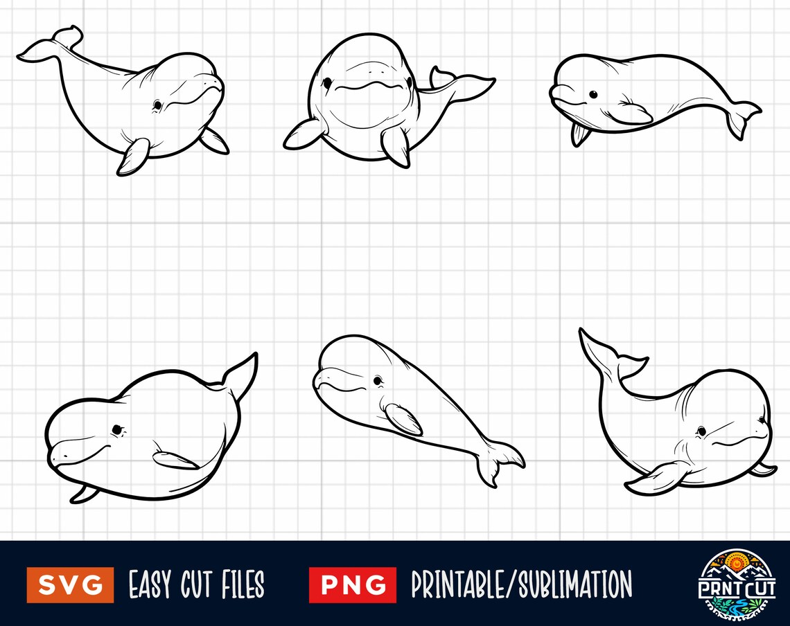 30 Beluga SVG Bundle, Beluga Svg Png, Beluga Coloring Page, Beluga Cut ...