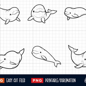30 Beluga SVG Bundle, Beluga Svg Png, Beluga Coloring Page, Beluga Cut ...