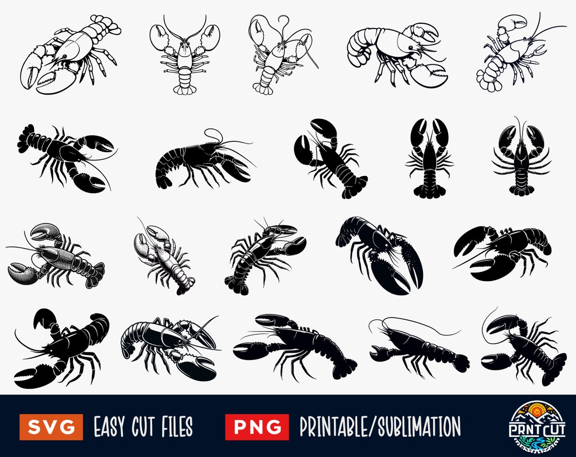 20 Lobster Svg Bundle, Lobster Svg, Lobster Outlines, Lobster Png ...