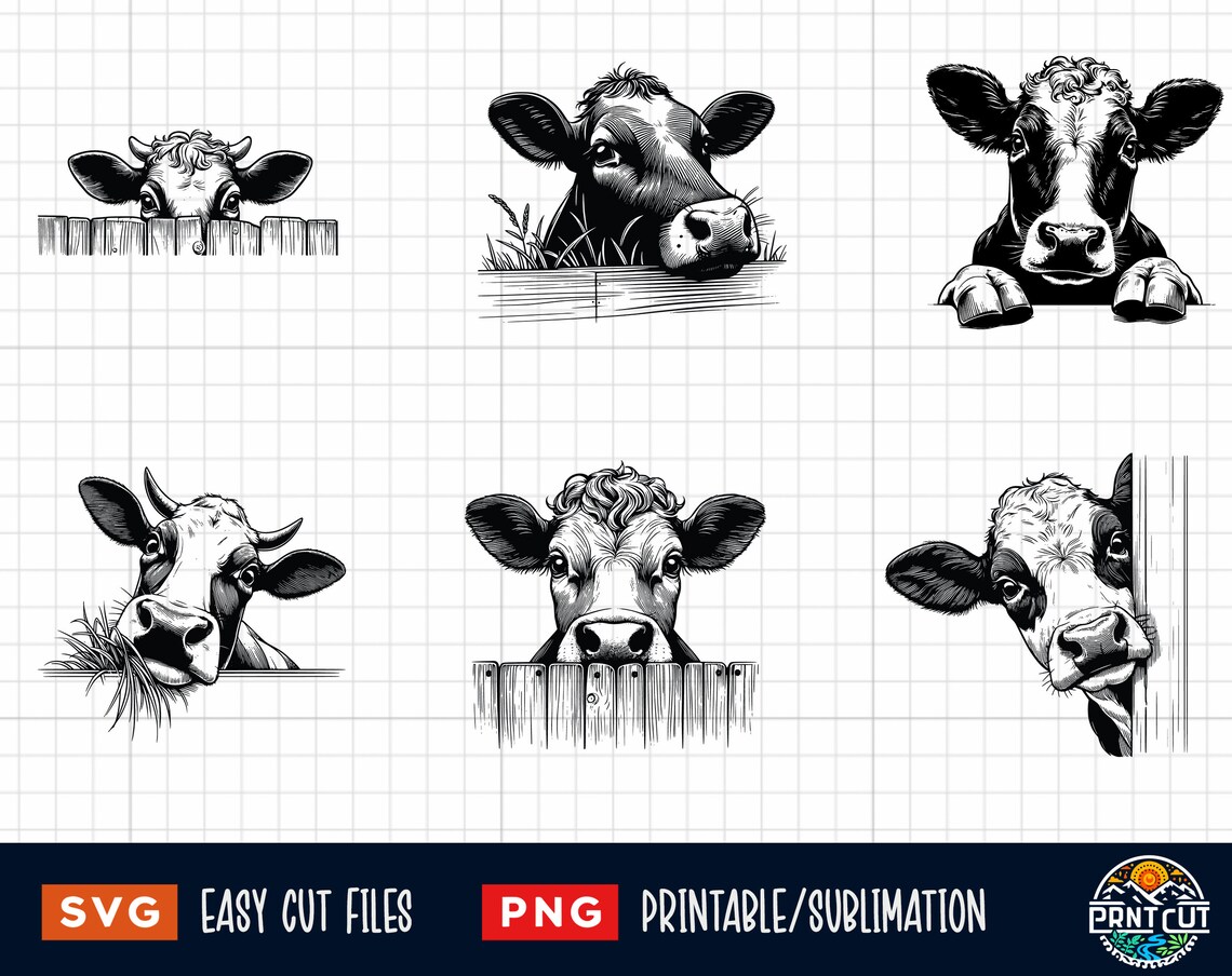 Peeking Cow SVG Bundle, Funny Peeking Cow Svg, Cow Head Svg, Cow Face ...