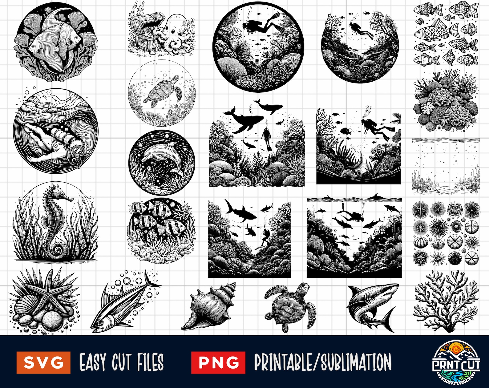 31 Underwater Svg, Underwater Scene Svg, Ocean Scene Svg, Ocean Animals ...
