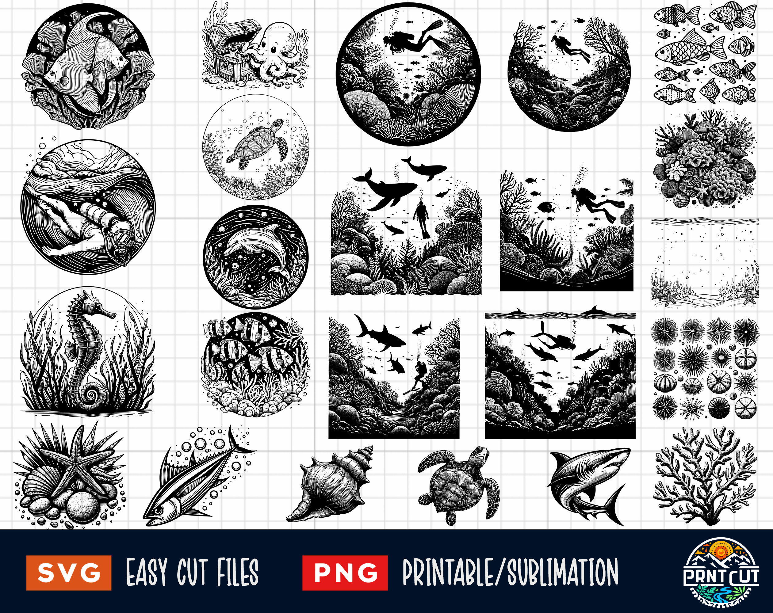 31 Underwater Svg, Underwater Scene Svg, Ocean Scene Svg, Ocean Animals ...