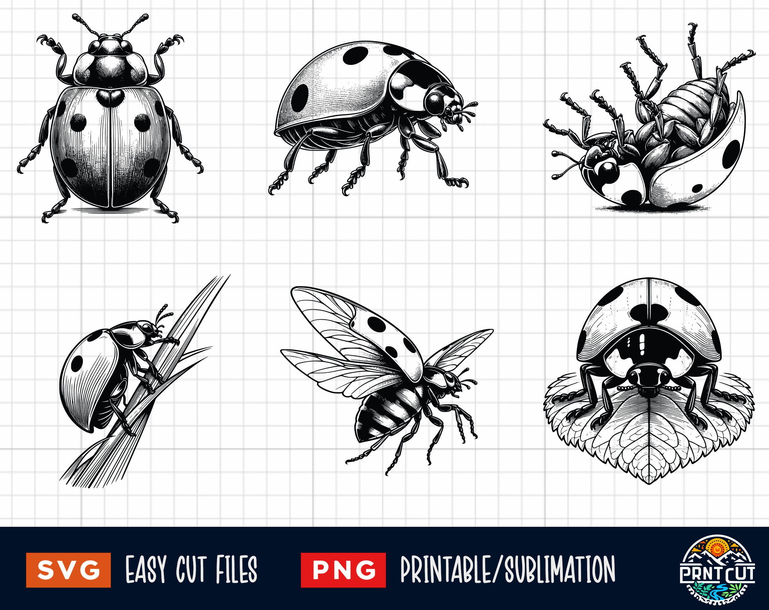 30 Ladybug SVG Bundle, Ladybug Svg Png, Bug Svg, Insect Svg, Beetle Svg ...