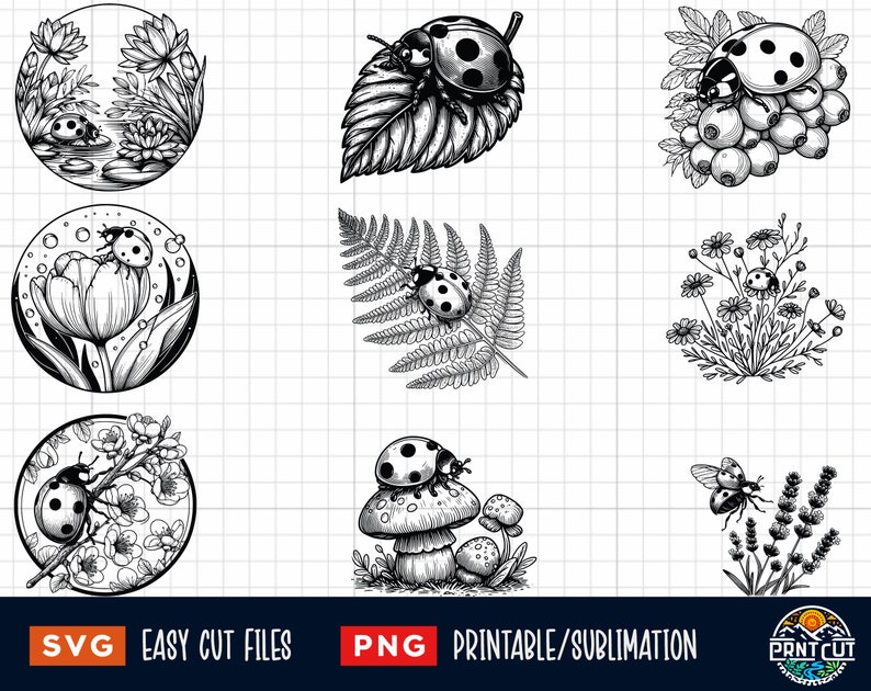 25 Ladybug Scene SVG Bundle, Ladybug Svg Png, Flower Ladybug Svg, Lady ...